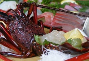 Ito City | IZU Peninsula - Coastline, Onsen and Family-friendly attractions