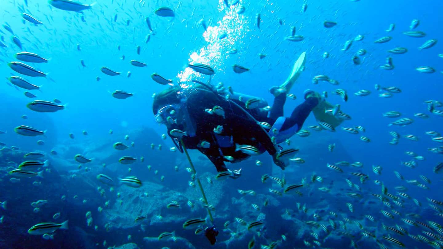 Water Activities | IZU Peninsula - Scuba diving, surfing, canyoning & more